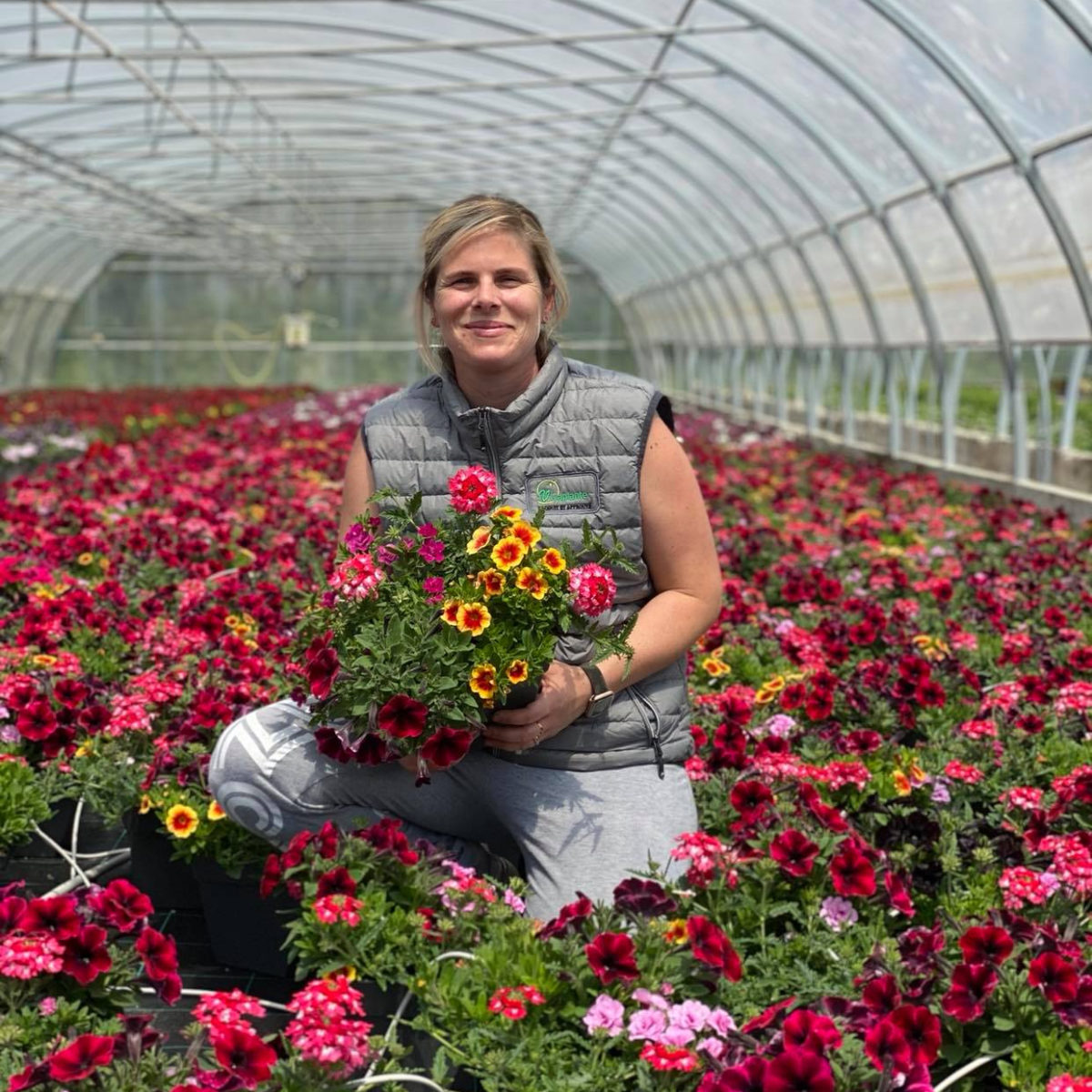 Morgue Plants - Vivaplante