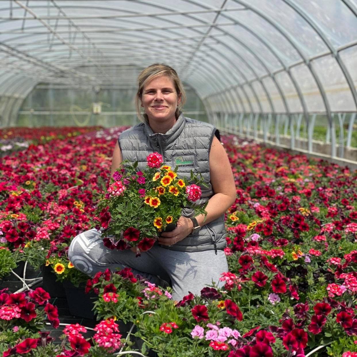 Morgue Plants - Vivaplante